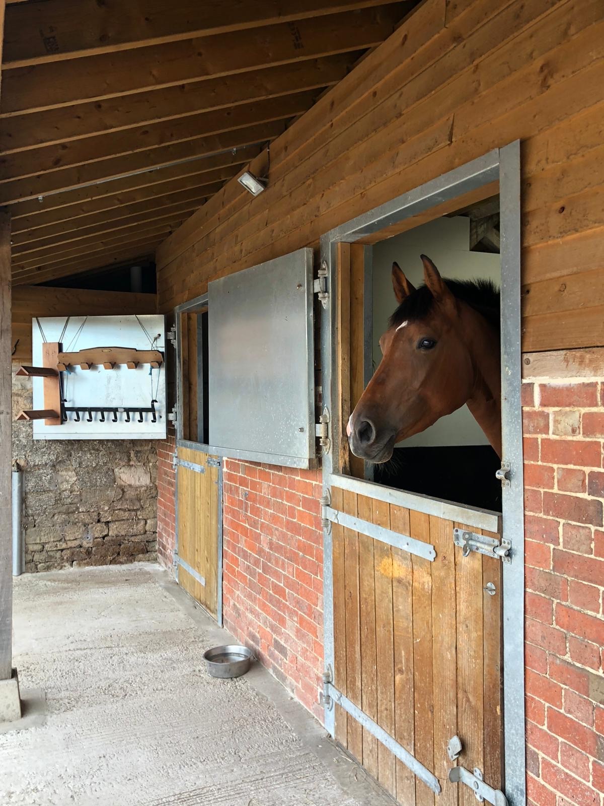 CK Rehabilitation – Coral Keen Eventing